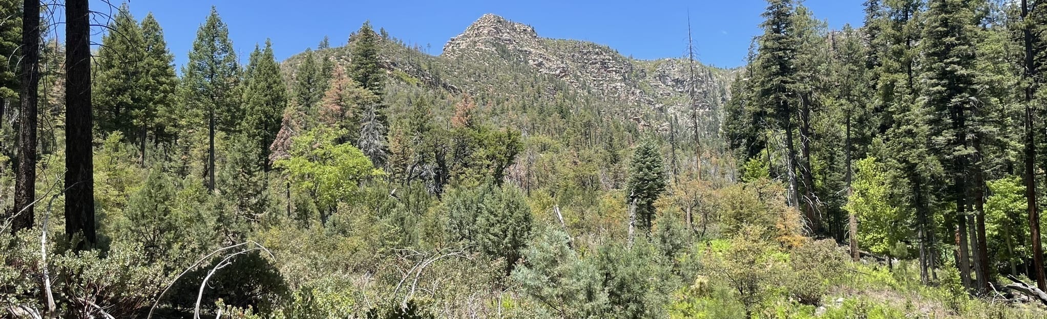 Arizona Trail: Passage 26 - Highline, Arizona - 34 Reviews, Map | AllTrails