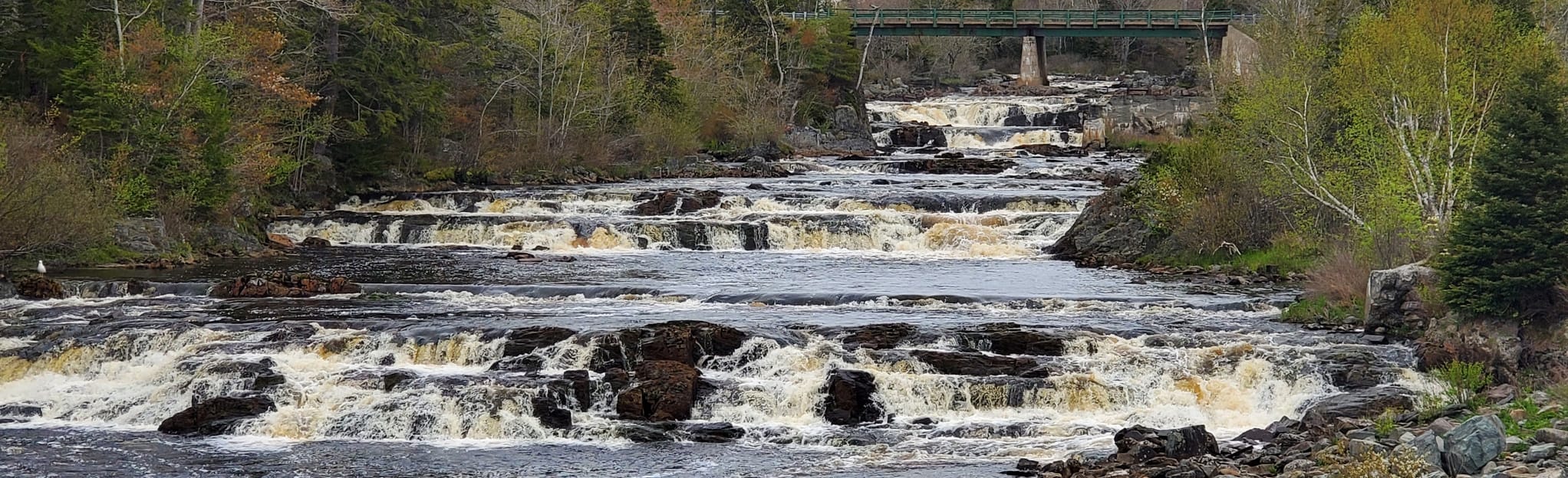 AllTrails | West River Falls Trail: 13 Reviews, Map - Nova Scotia, Canada