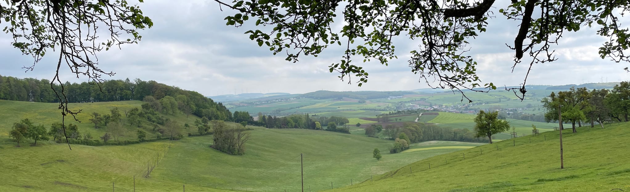 MTB Trail Echternach: 14 Reviews, Map - Echternach, Luxembourg | AllTrails