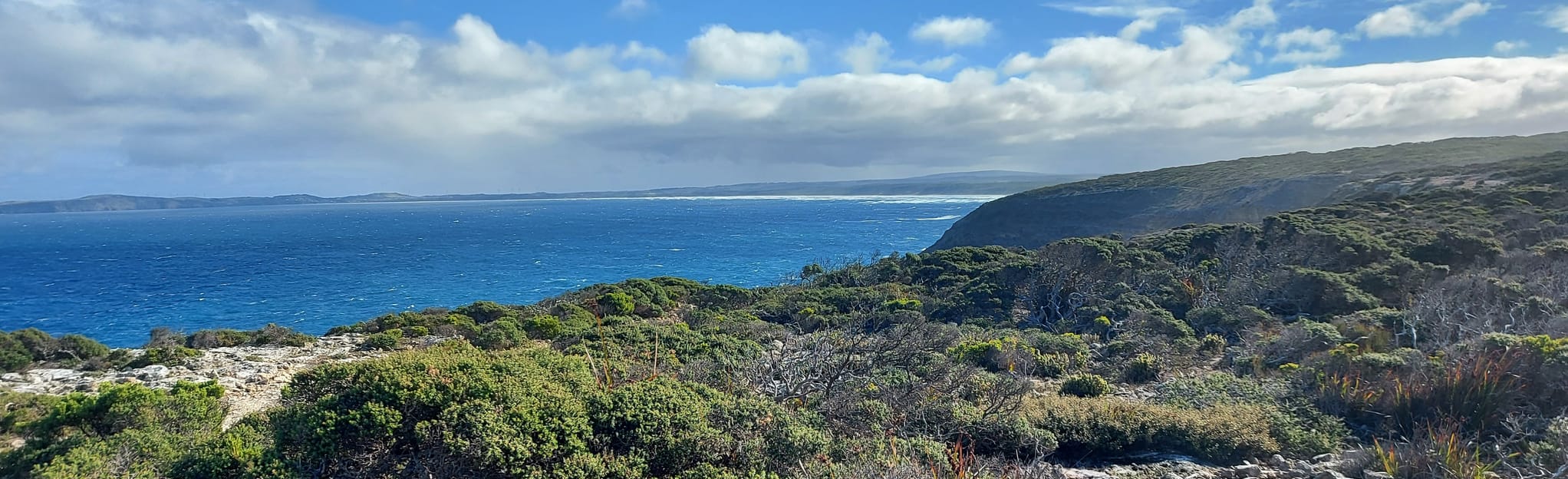 Cape Nelson Seacliff Nature loop, Victoria, Australia - 18 Reviews, Map ...