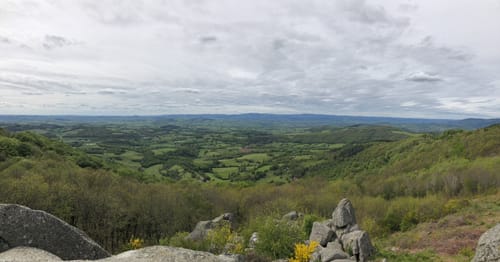 2023 Best 10 Forest Trails in Morvan Regional Nature Park | AllTrails