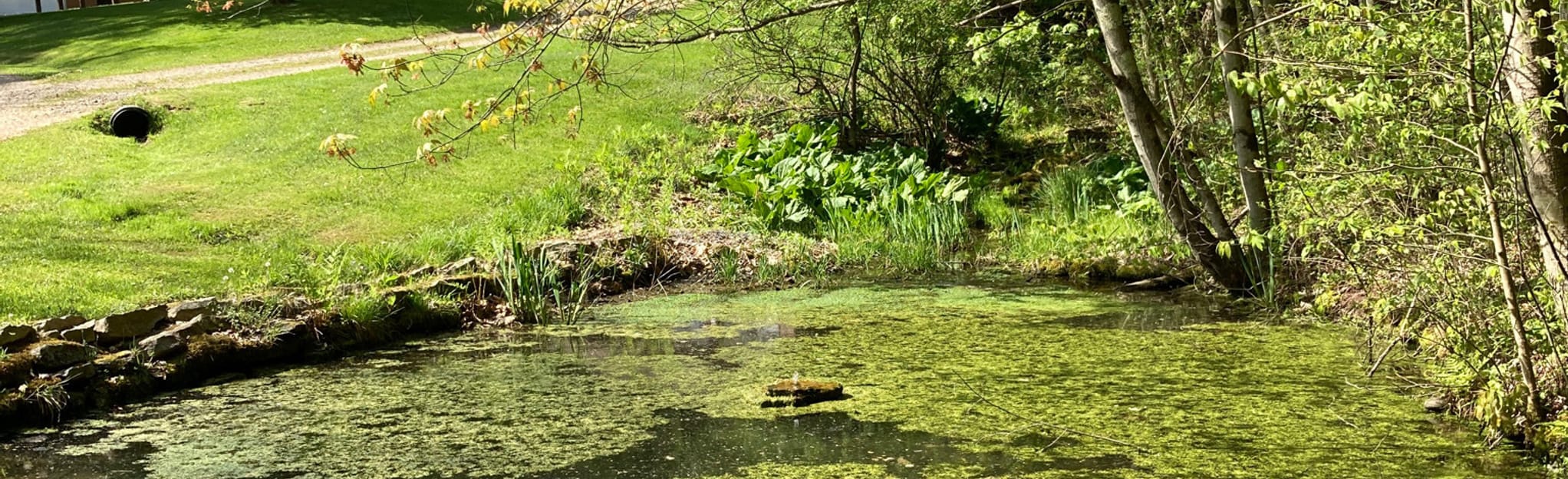 Hunter Run Trail System - Pennsylvania | AllTrails