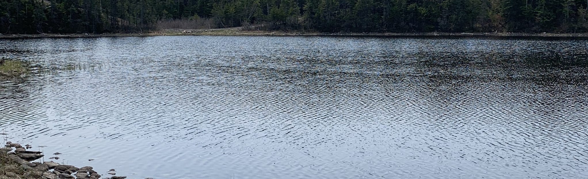 Devil's Pond : 11 photos - Terre-Neuve-et-Labrador, Canada | AllTrails