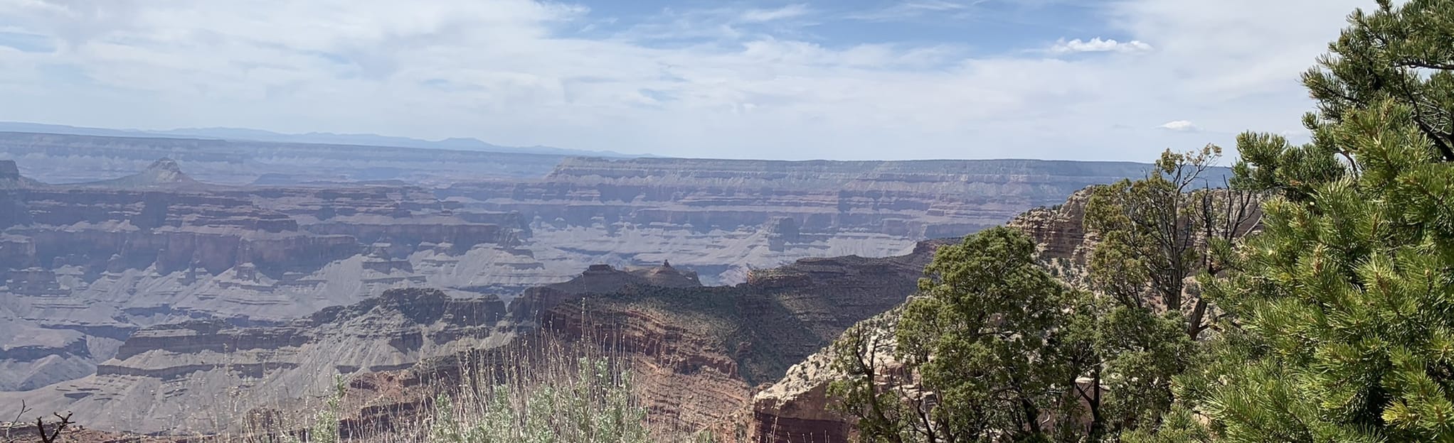 Point Sublime Trail [CLOSED], Arizona - 48 Reviews, Map | AllTrails