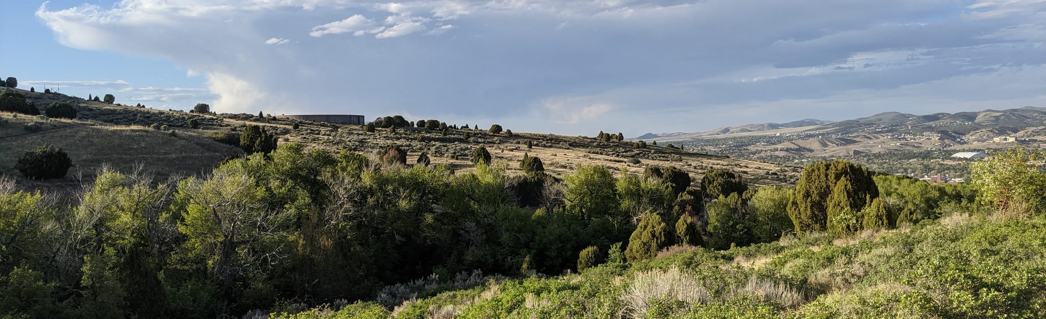 City Creek Beginner Loop Trail: 374 Fotos - Idaho | AllTrails