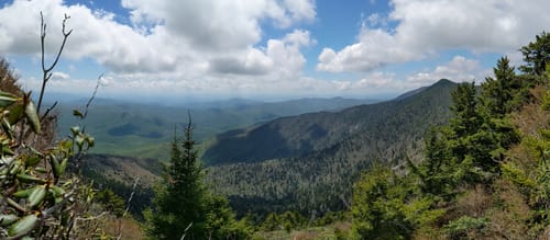 Best 10 Hikes and Trails in Mount Mitchell State Park | AllTrails