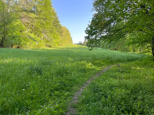 Best Hikes and Trails in Greenfield | AllTrails