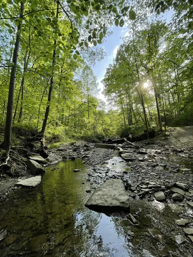 10 Best Hikes and Trails in South Chagrin Reservation | AllTrails