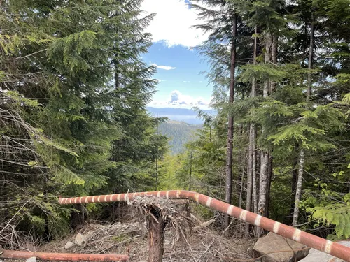 Best Hikes and Trails in Tansky Recreation Site | AllTrails