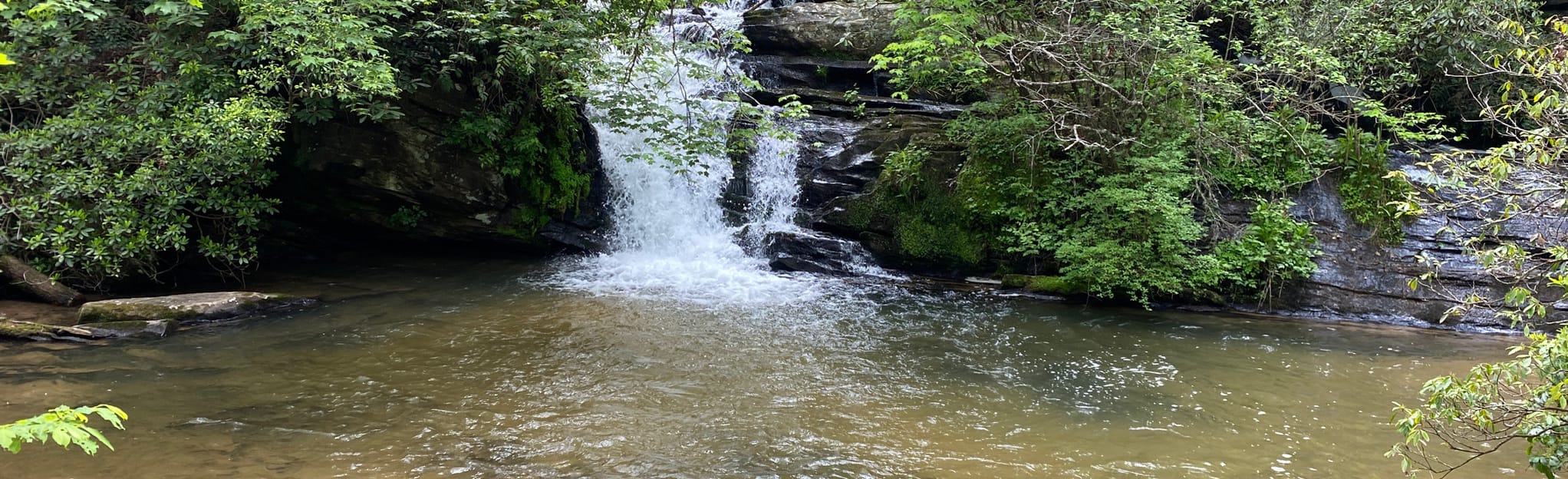 Licklog and Pigpen Falls via Foothills Trail, South Carolina - 295 ...