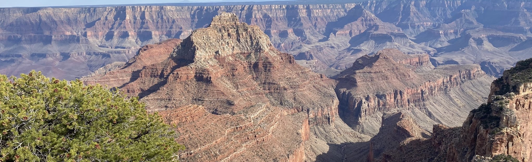 Cape Royal Trail [CERRADA] | Mapa, Guía - Arizona | AllTrails