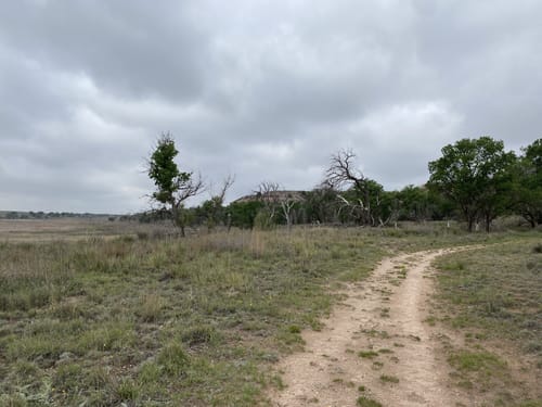 Best Hikes and Trails in Buffalo Lake National Wildlife Refuge | AllTrails
