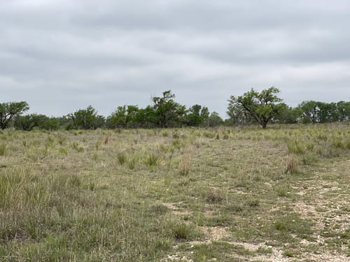 Best Hikes and Trails in Buffalo Lake National Wildlife Refuge | AllTrails