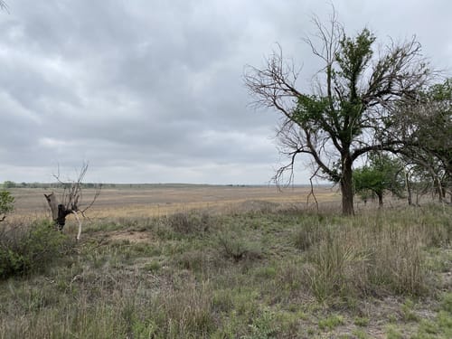 Best Hikes and Trails in Buffalo Lake National Wildlife Refuge | AllTrails