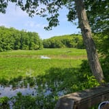Great Marsh Trail, Virginia - 78 Reviews, Map | AllTrails