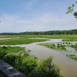 Great Marsh Trail, Virginia - 78 Reviews, Map | AllTrails