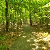 Great Marsh Trail, Virginia - 78 Reviews, Map | AllTrails
