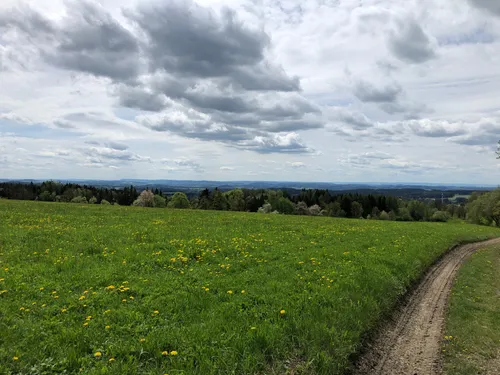 10 Best Forest Trails in Chráněná krajinná oblast (CHKO) Orlické hory ...