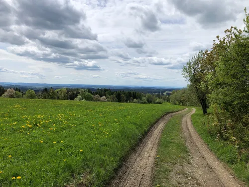 Best Historic Site Trails in Chráněná krajinná oblast (CHKO) Orlické ...