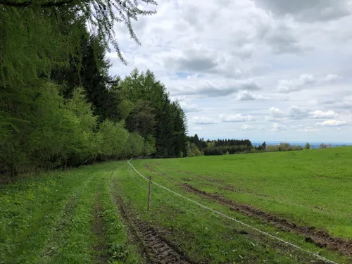 Best Historic Site Trails in Chráněná krajinná oblast (CHKO) Orlické ...