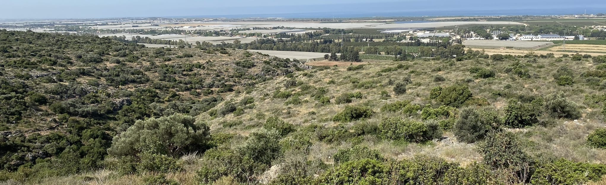 Ofer Forest and Carmel Mountains Long Loop, Haifa, Israel - Map, Guide ...