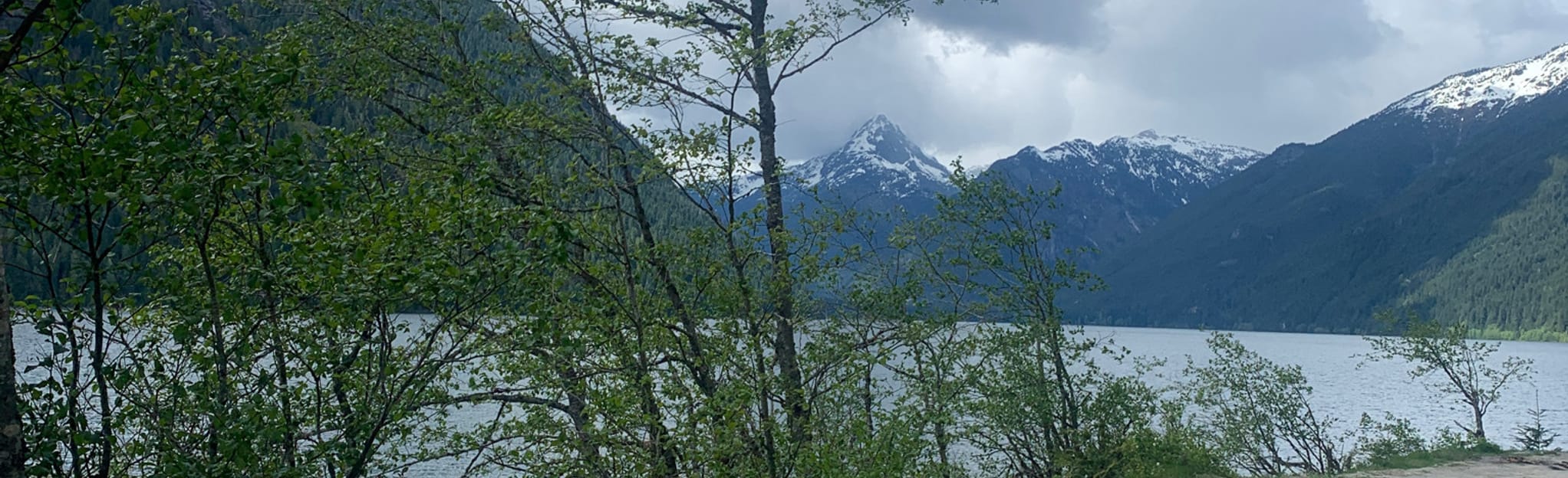 Chilliwack Lake FSR, British Columbia, Canada - 16 Reviews, Map | AllTrails