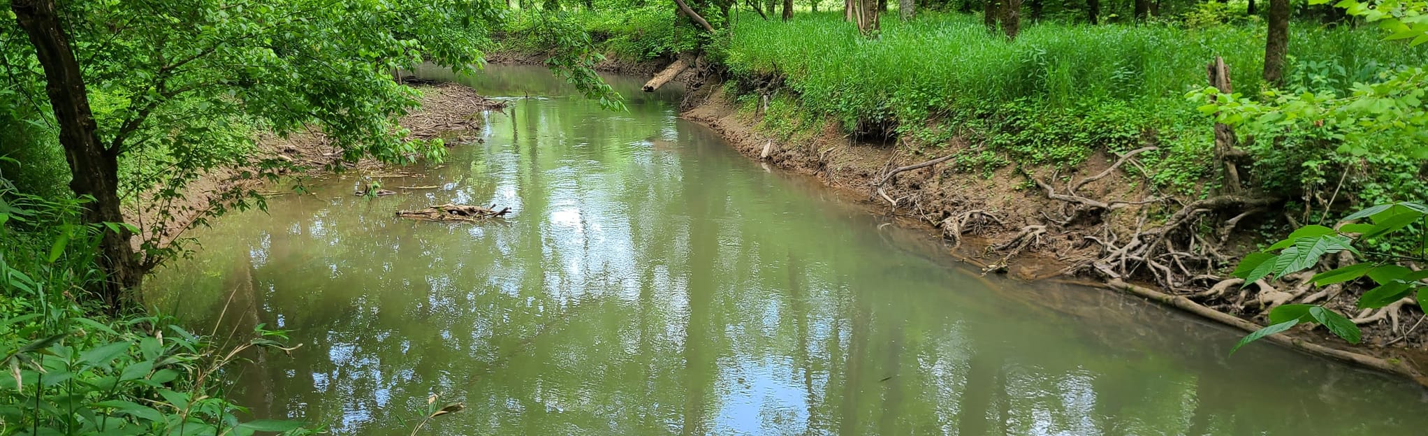 Stella Moore Collier Loop, Tennessee - 49 Reviews, Map | AllTrails