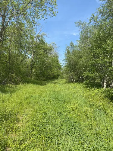 Best Hikes and Trails in Bolton Flats Wildlife Management Area | AllTrails