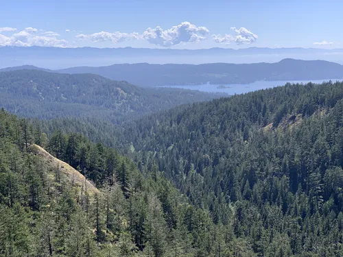 10 Best Trails and Hikes in Metchosin | AllTrails
