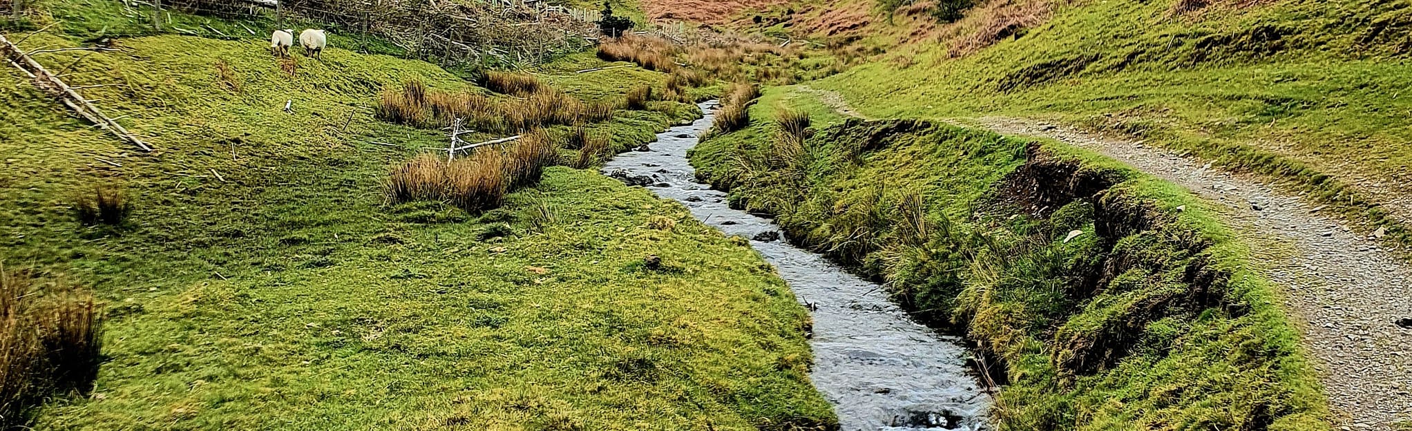 Minton Batch and Long Mynd Circular, 785 Fotos - Shropshire, England ...