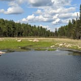Angleworm Lake Trail, Minnesota - 108 Reviews, Map | AllTrails