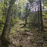 Angleworm Lake Trail, Minnesota - 108 Reviews, Map | AllTrails