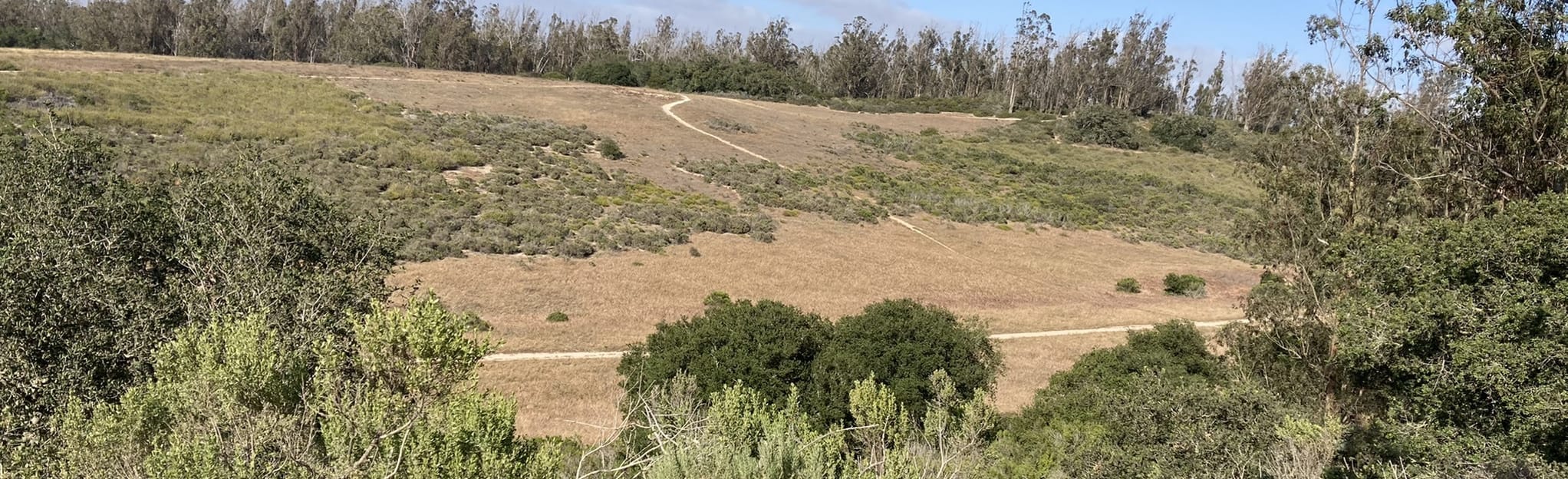 Rice Ranch Valley View Loop: 395 Reviews, Map - California | AllTrails