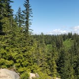 Chuckanut Mountain, Washington - 341 Reviews, Map | AllTrails