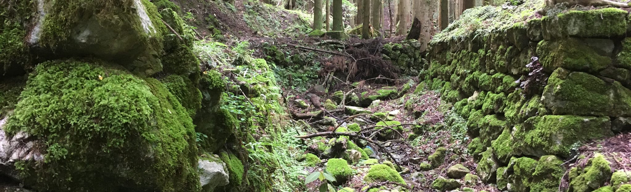 Mount Ryozen: 37 foto's - Shiga, Japan | Wandelen - AllTrails