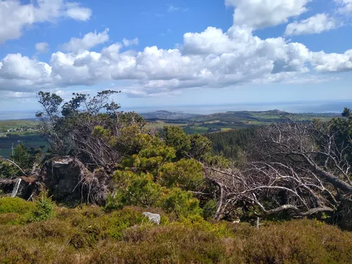 Best Hikes and Trails in Glencullen Adventure Park | AllTrails