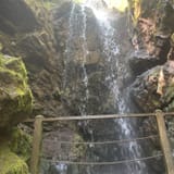 Foxfire Mountain Trail, Tennessee - 68 Reviews, Map | AllTrails