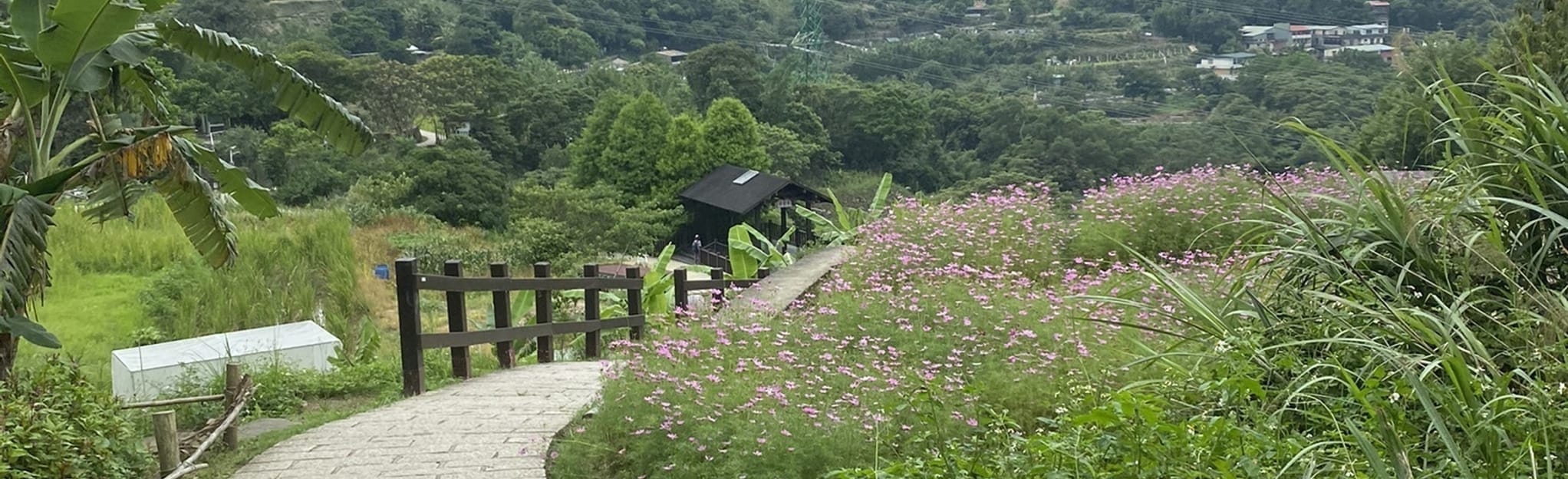 Camphor Trail | Map, Guide - Taipei City, Taiwan | AllTrails
