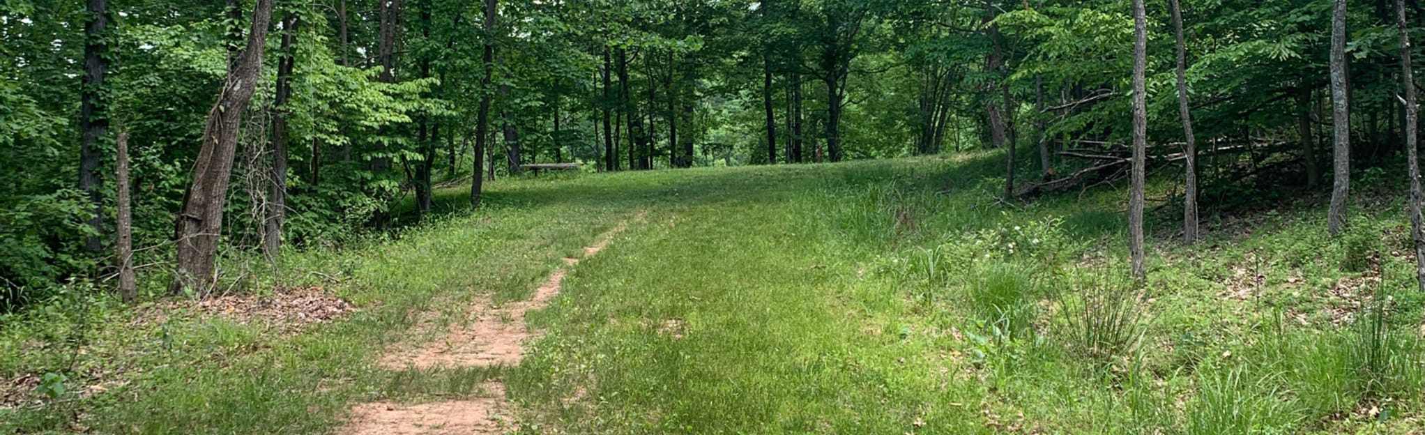 Powerline Ridge Loop via Gun Range Trail | Map, Guide - West Virginia ...