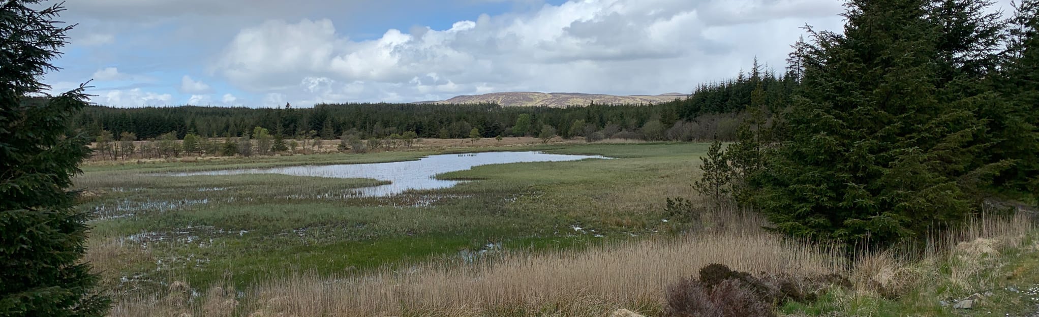 Lough Derg Pilgrim Path, County Donegal, Ireland - 18 Reviews, Map ...