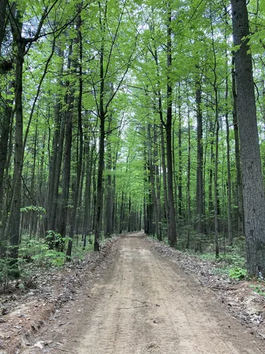 10 Best Off Road Driving Trails in Quebec | AllTrails