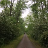 Buffalo Valley Rail Trail, Pennsylvania - 287 Reviews, Map | AllTrails