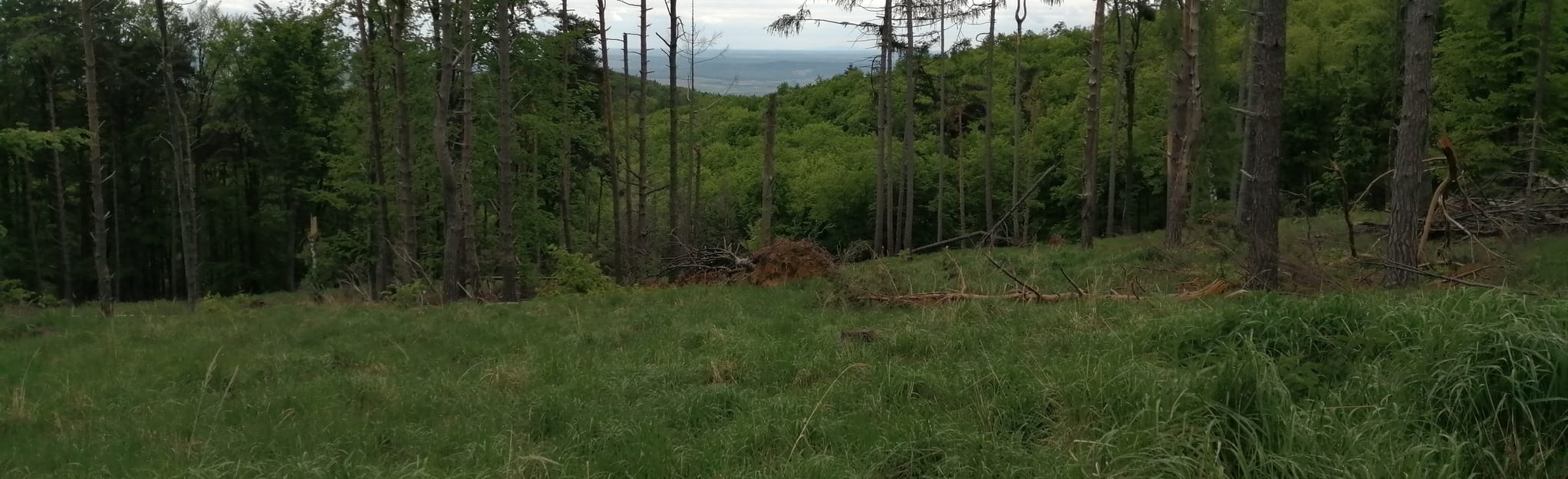 Velem - Kereszt-kút: 139 Fotos - Vas, Ungarn | AllTrails