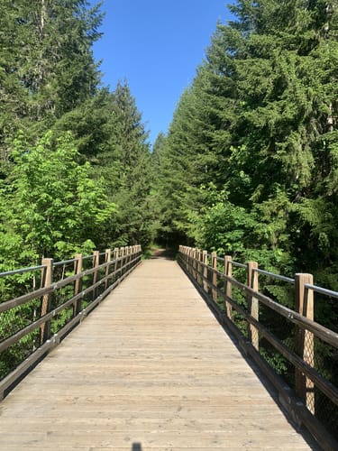 Best Hikes and Trails in Cowichan River Provincial Park | AllTrails