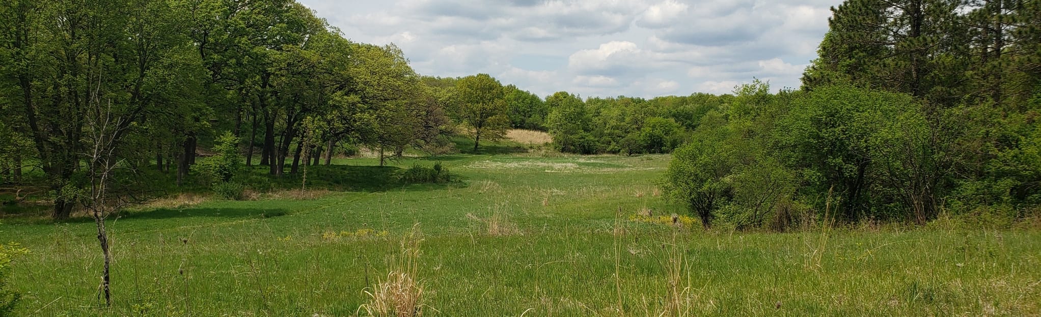 Beverly Lake Forest Preserve Trail: 353 Reviews, Map - Illinois | AllTrails