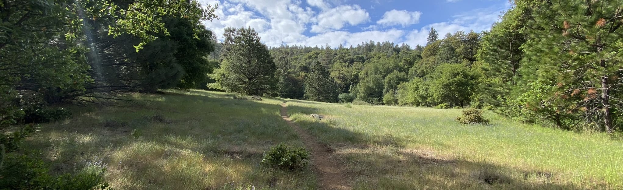 Silver Peak Loop via Cruikshank Trail: 5 Reviews, Map - California ...