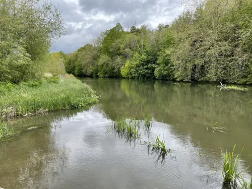 10 Best Hikes and Trails in Martin Down National Nature Reserve | AllTrails