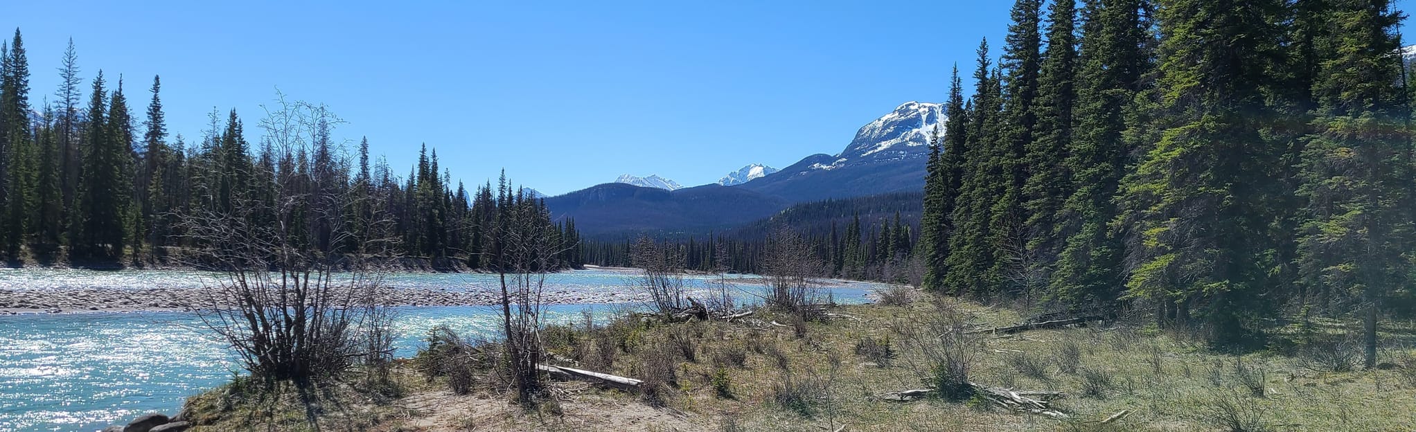 Wabasso Campground River Trail: 57 Reviews, Map - Alberta, Canada ...