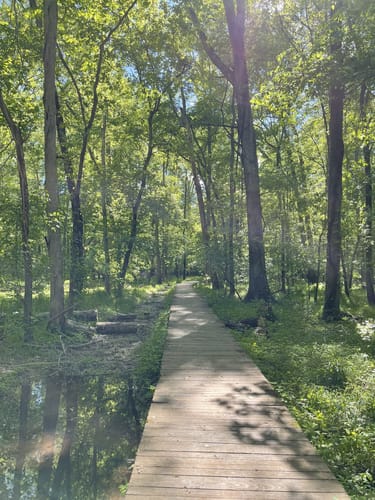 Best Hikes and Trails in Bull Run Regional Park | AllTrails