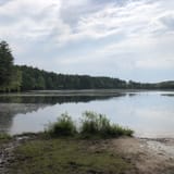 Arcadia Trail Loop, Rhode Island - 189 Reviews, Map | AllTrails